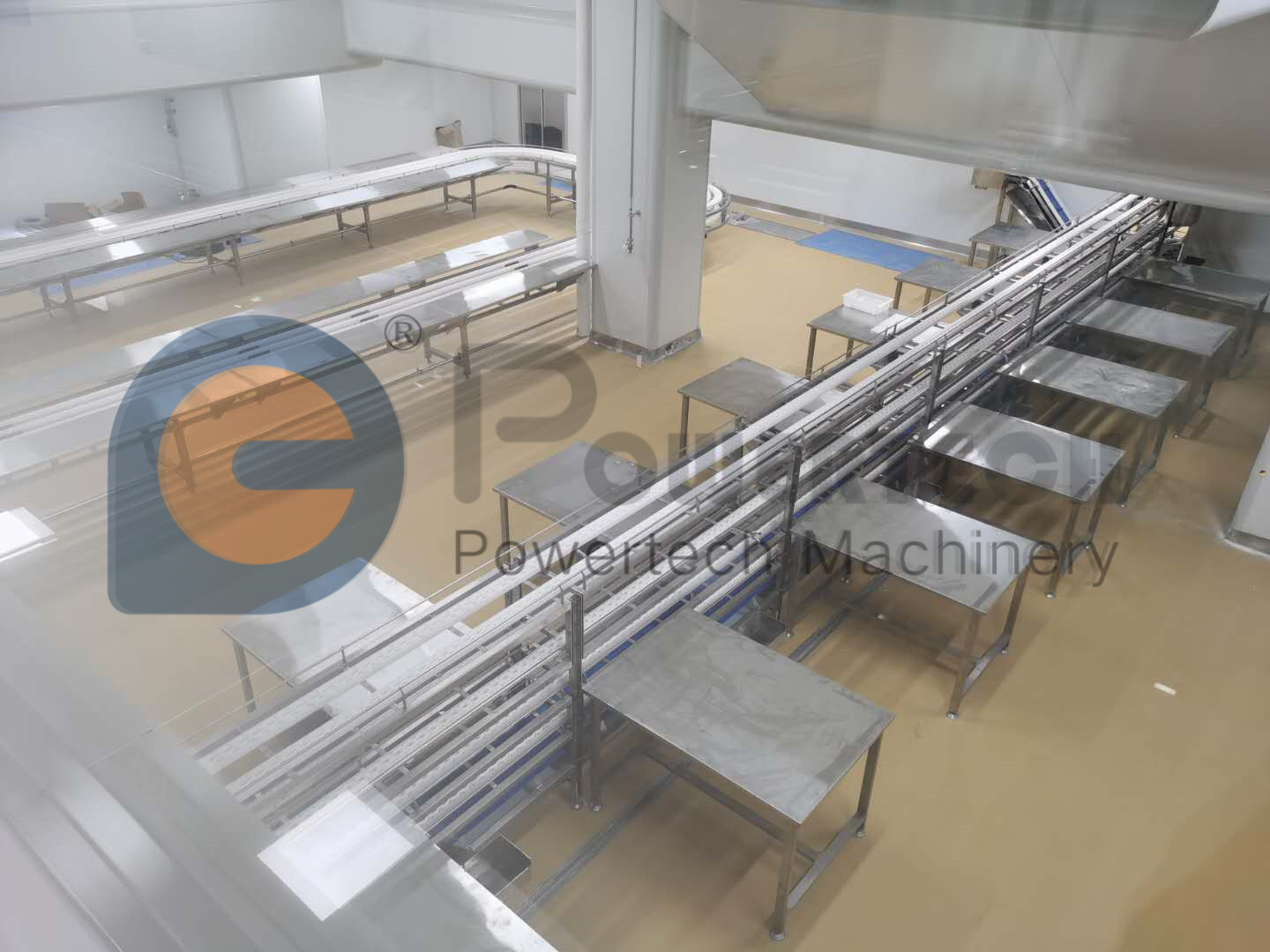 Automatic High Capacity Salmon Processing Line from China manufacturer ...