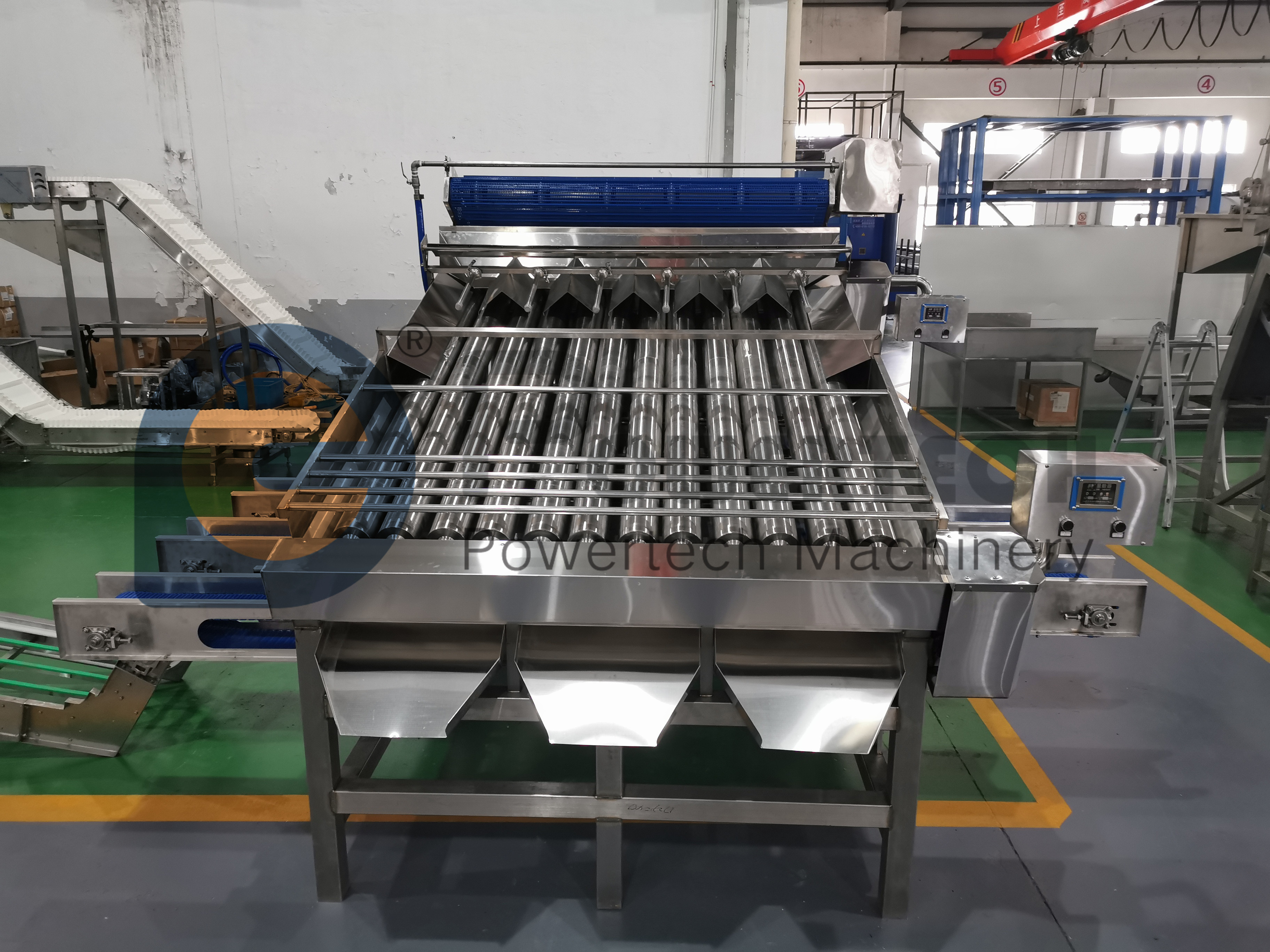 Vannamei Shrimp Automatic Grading Machine from China manufacturer ...