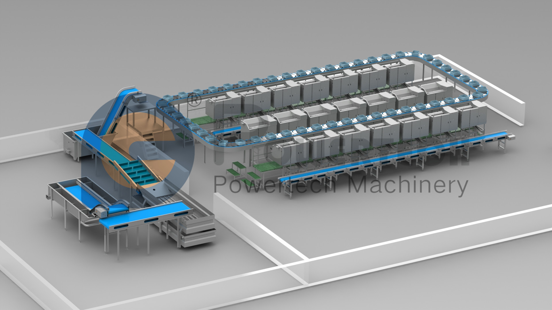 High Capacity And High Quality Shrimp Peeling And Deveining Machine ...