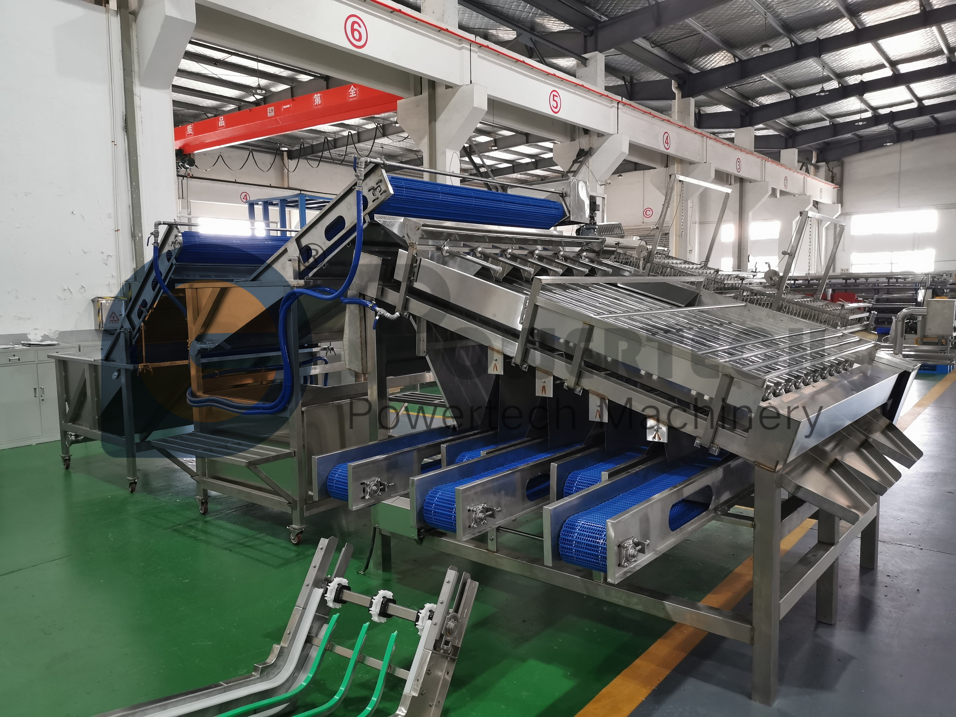 Intelligent Automatic Shrimp Grading Machine from China manufacturer ...