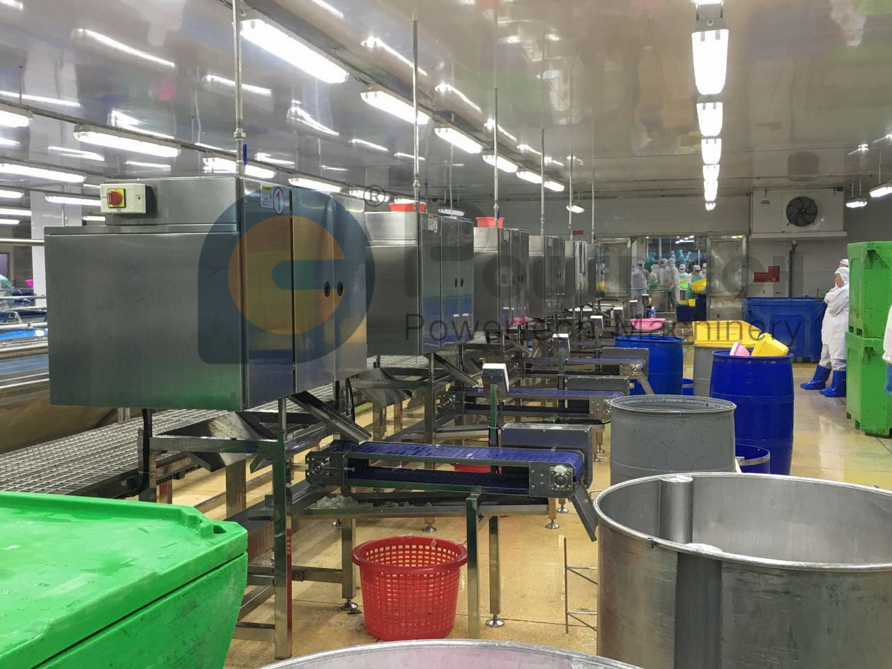 Flexible And High Capacity Shrimp Peeling And Deveining Machine from ...