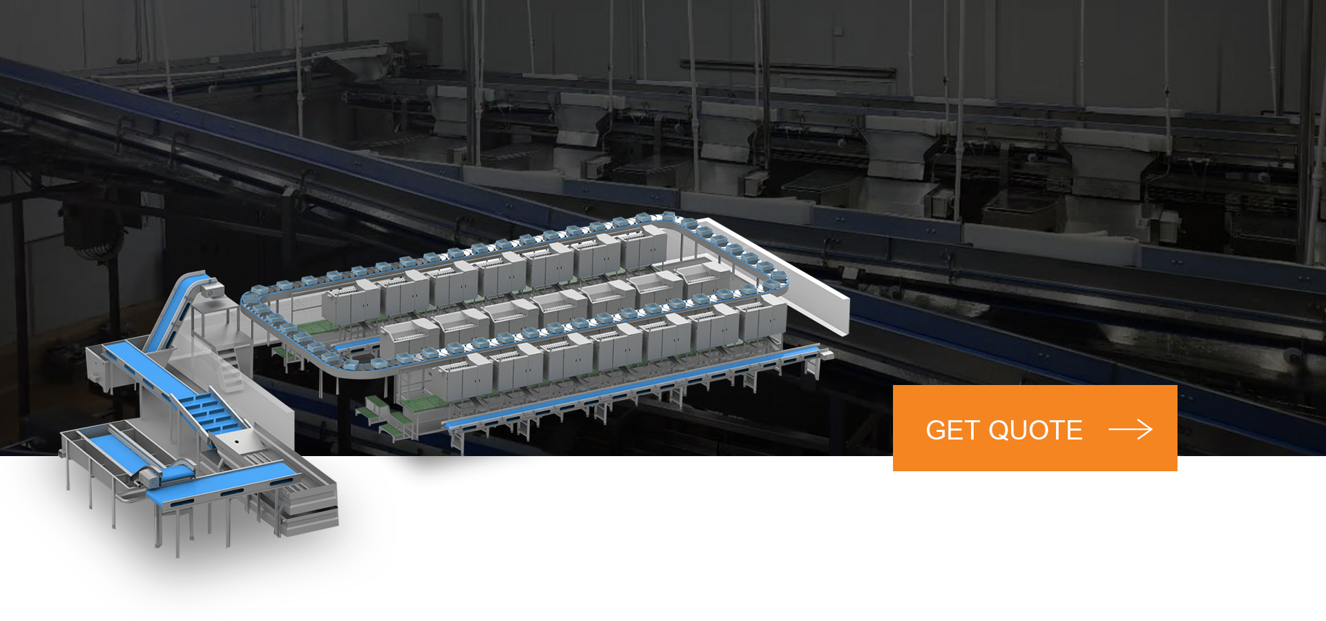 Shrimp Peeling And Deveining Machine - POWERTECH