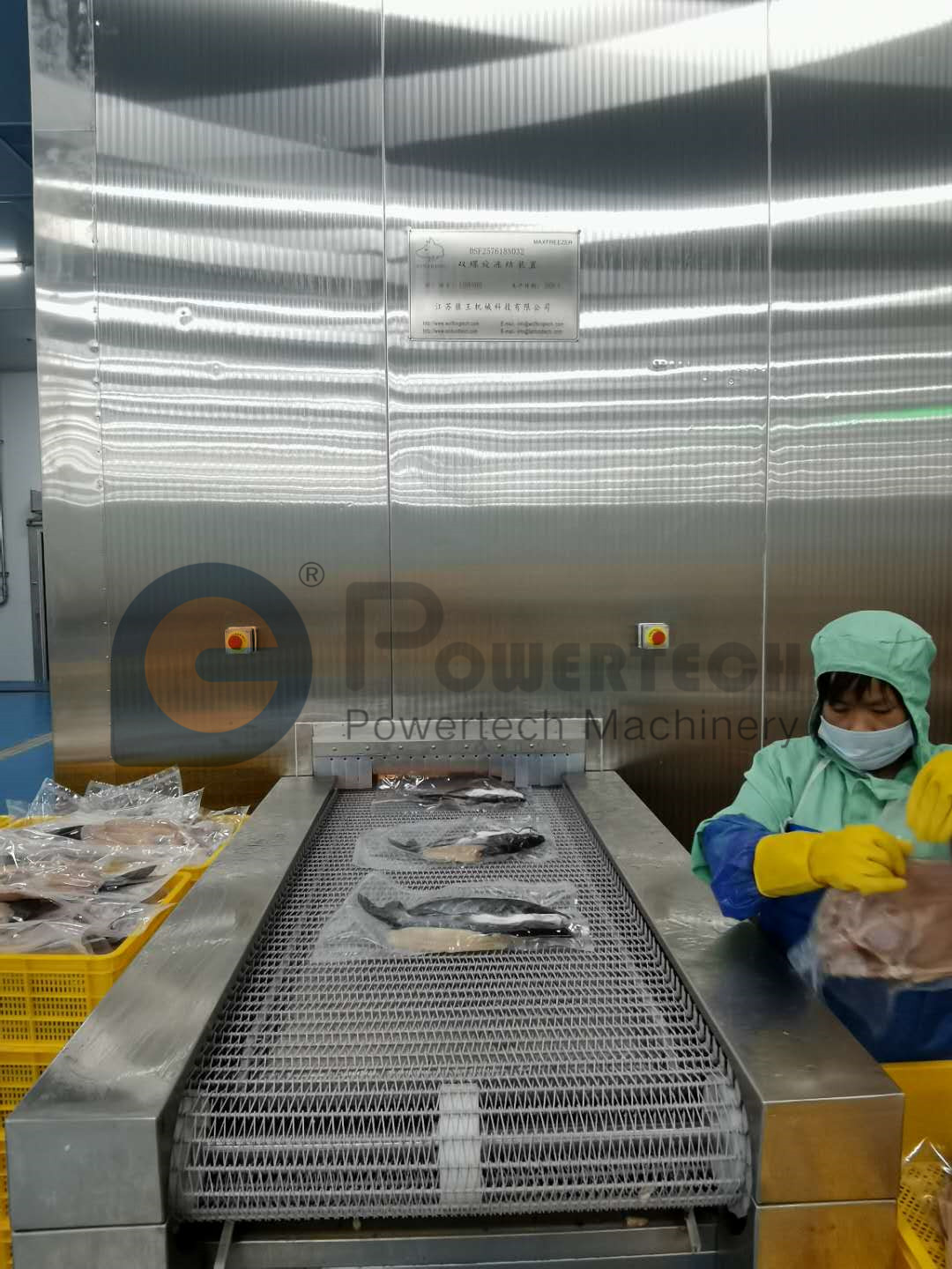 High Capacity Automatic Catfish Processing Line from China manufacturer - POWERTECH